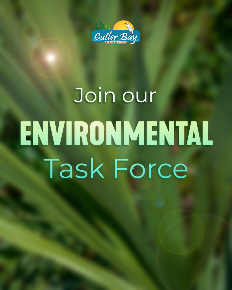 Environmental Task Force Members Wanted | Town of Cutler Bay Florida