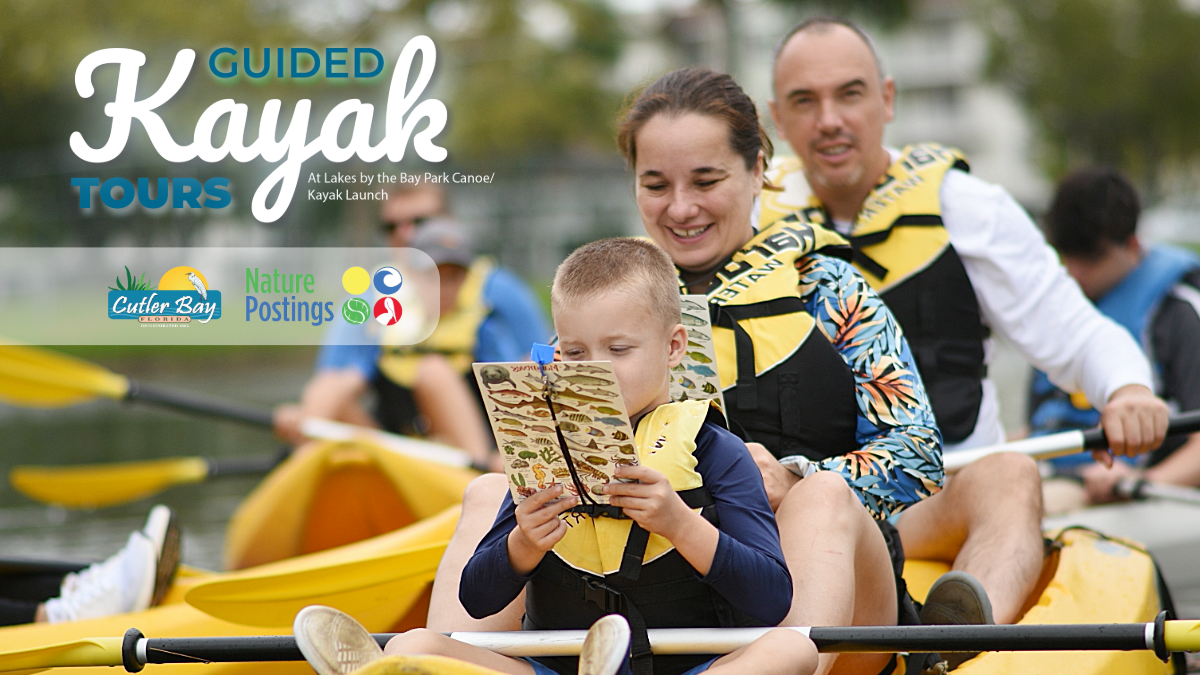 Guided Kayak Tour | Town of Cutler Bay Florida