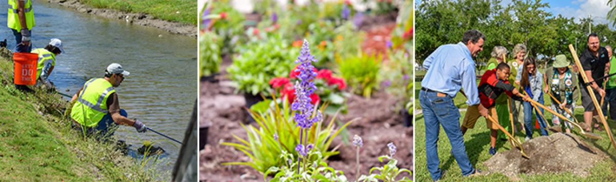 Environmental Stewardship And Sustainability
